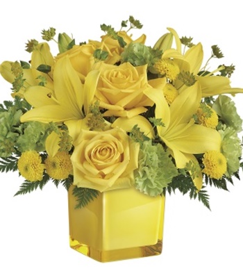 Yellow Flowers in Color Splash Cube